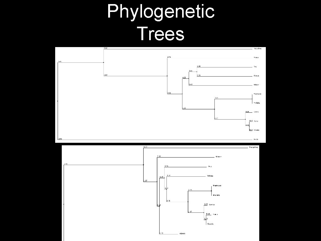 AlpersHuttenlocher Syndrome POLG Aaron Burd AlpersHuttenlocher Syndrome ...