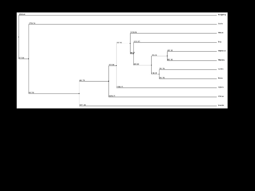 AlpersHuttenlocher Syndrome POLG Aaron Burd AlpersHuttenlocher Syndrome ...