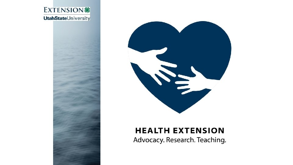 HEALTH EXTENSION Advocacy Research Teaching HEART Initiative The