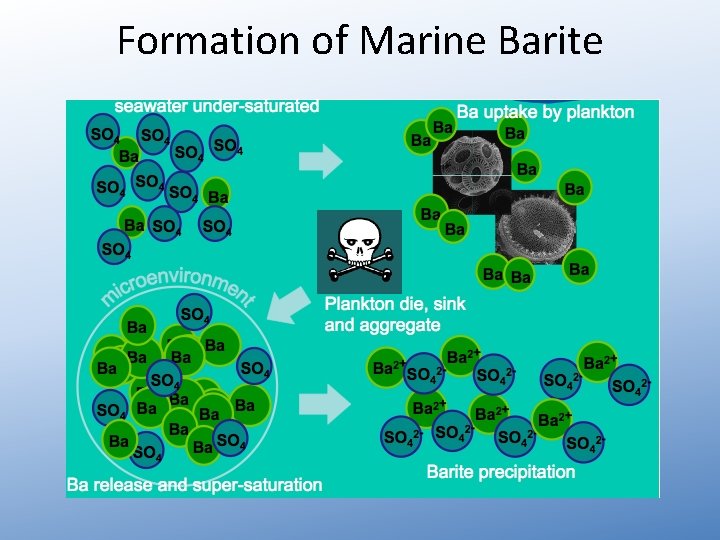 Using Heavy Isotopes in Marine Barite to Characterize