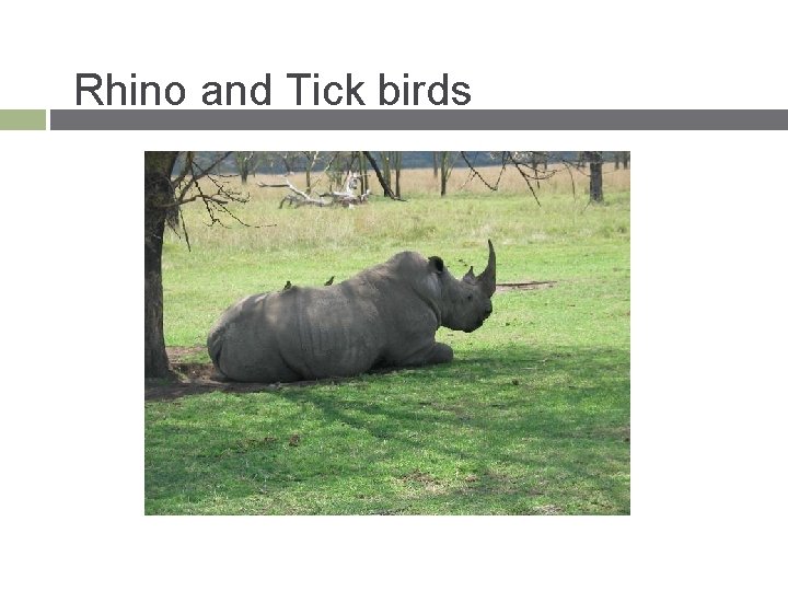 How do Species Interact Symbiosis close relationships between