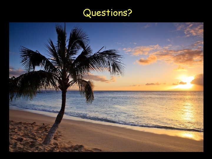 Radical radicles Flowers fruits seeds Flower development Plant