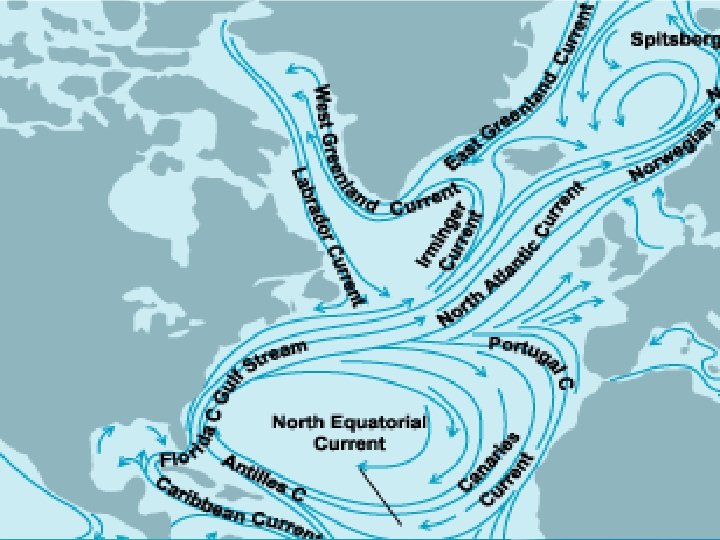 Currents Oceans 11 Essential Questions What are ocean