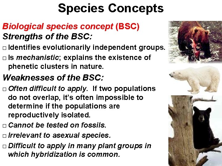 What is a Species Practically people usually recognize