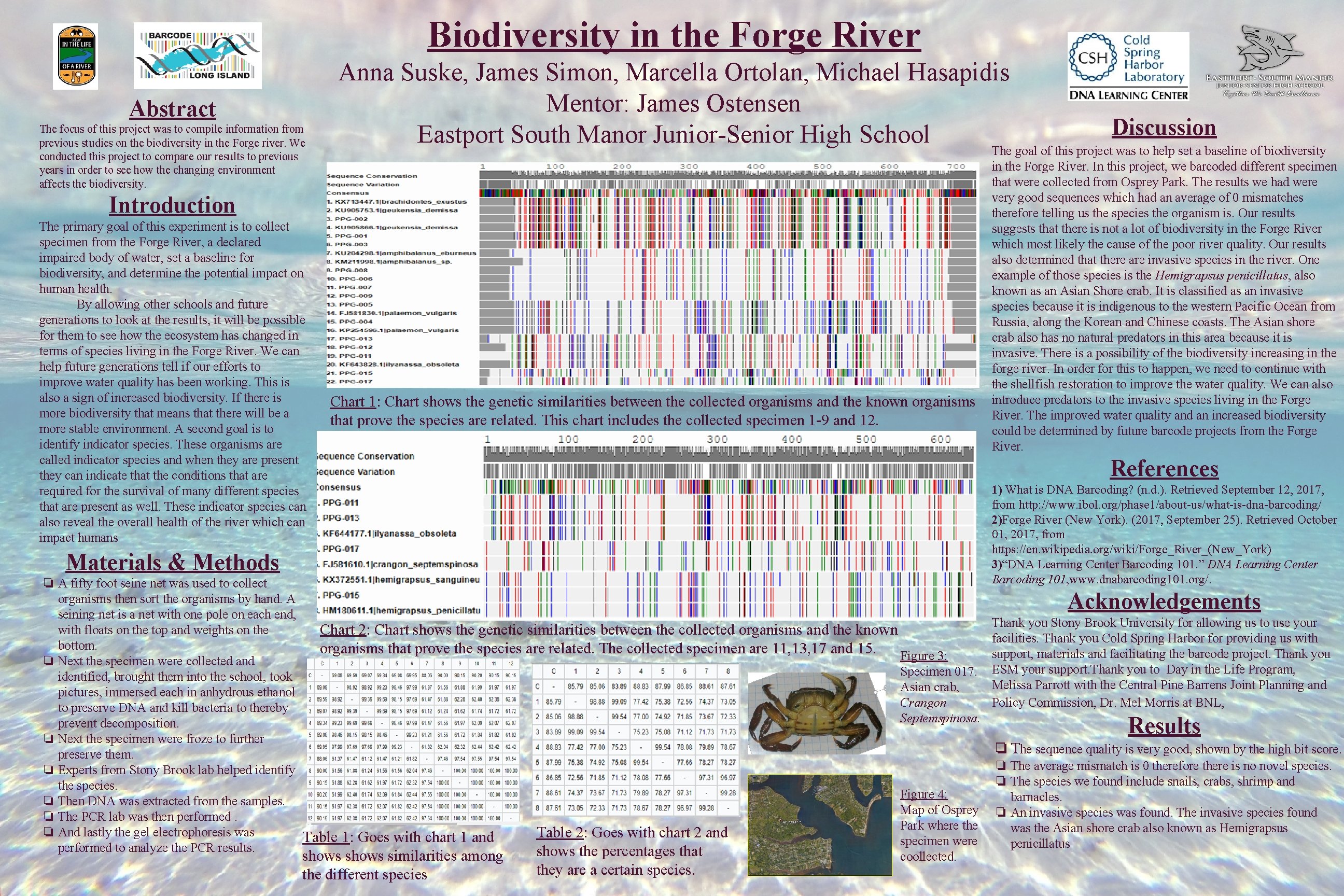 Biodiversity in the Forge River Abstract The focus