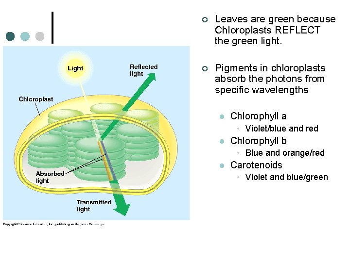 Photosynthesis 6 CO 2 12 H 20 Light