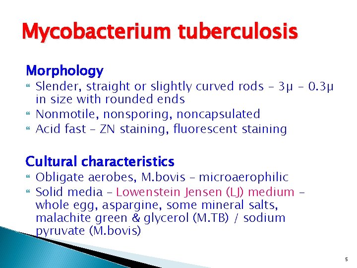 DR HIMANI PANDYA 1 Family Mycobacteriaceae Straight or