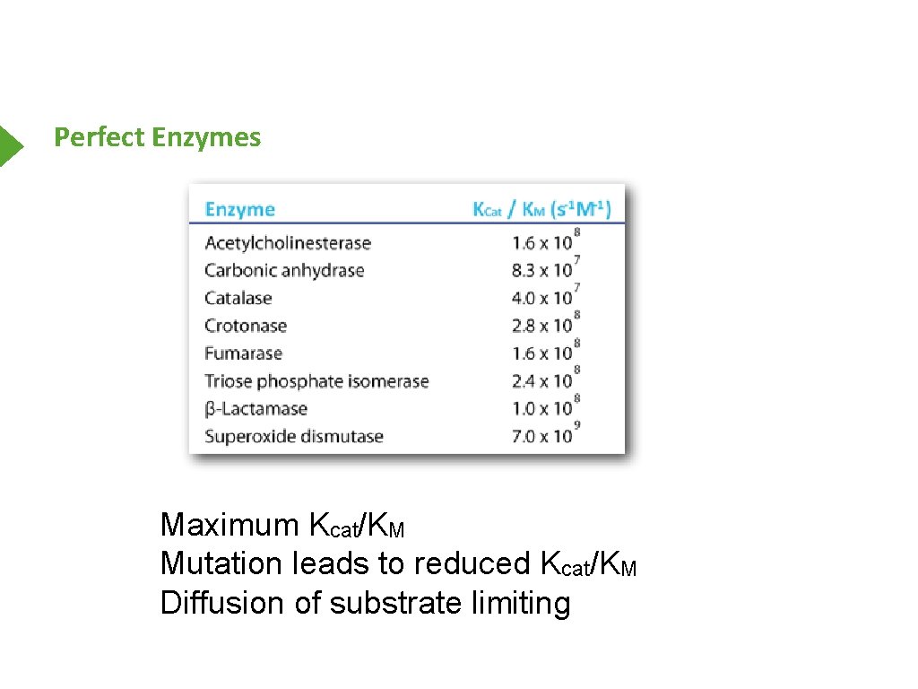Enzymes II kinetics Dr Nabil Bashir Specific aims
