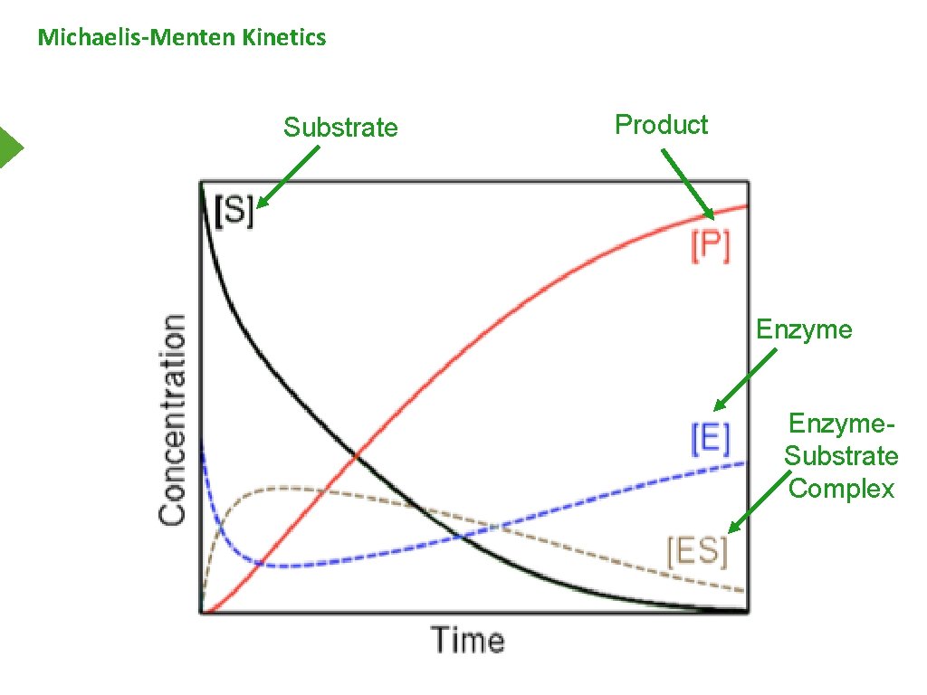 Enzymes II kinetics Dr Nabil Bashir Specific aims