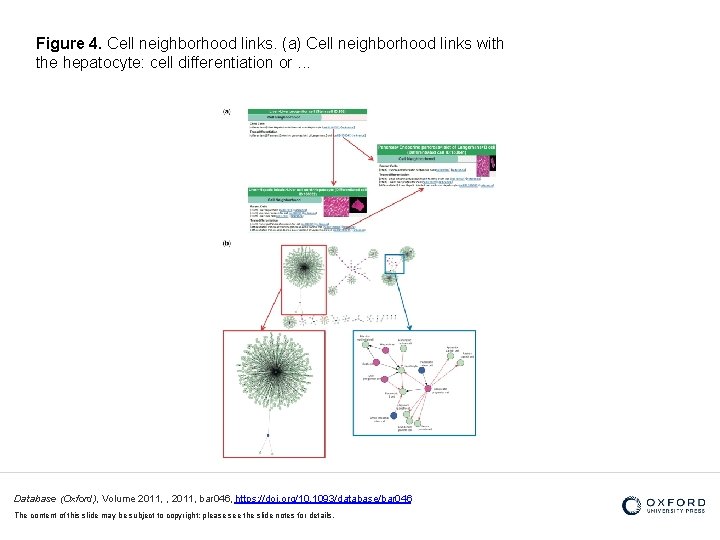 Figure 3 Examples of cells with the same