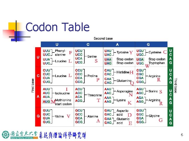 The Nobel Prize in Physiology or Medicine 1962