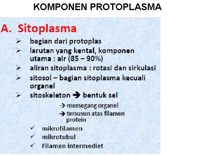 STRUKTUR SEL TUMBUHAN Perbedaan dengan sel hewan 1