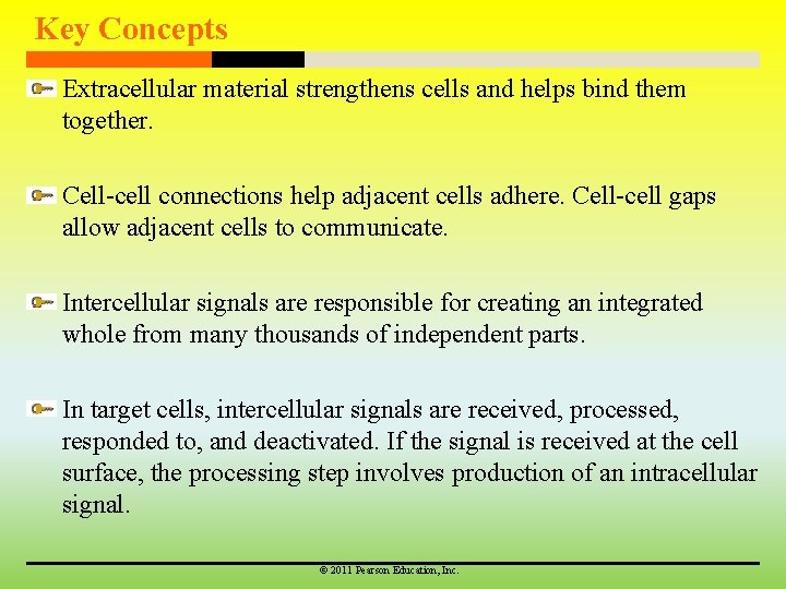 Key Concepts Extracellular material strengthens cells and helps