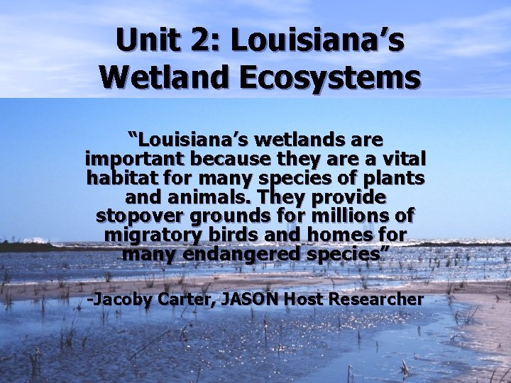 Unit 2 Louisianas Wetland Ecosystems Louisianas wetlands are