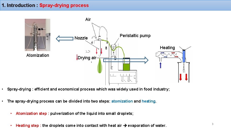 Spraydrying of proteinpolysaccharide complexes dissociation of the effects