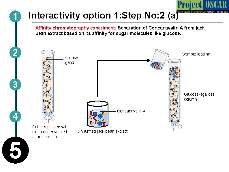 ABC of protein purification basic chromatography Purified proteins