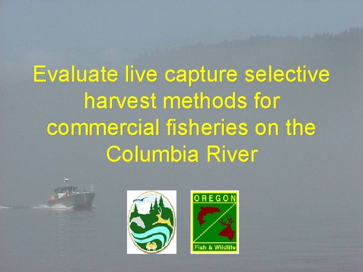 Evaluate live capture selective harvest methods for commercial