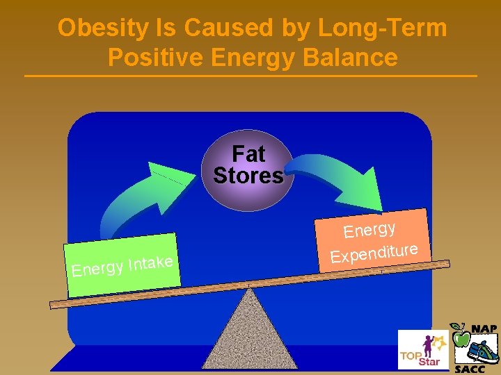 SUPERSIZING Our Children Childhood Obesity Objectives Describe the