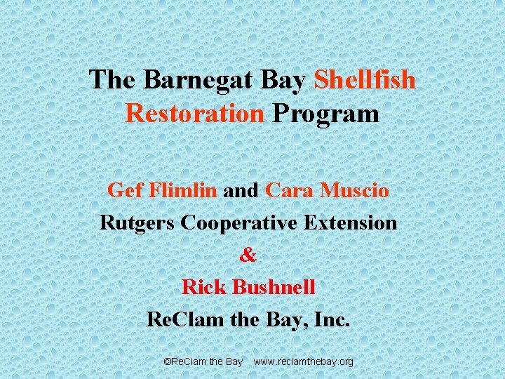 The Barnegat Bay Shellfish Restoration Program Gef Flimlin