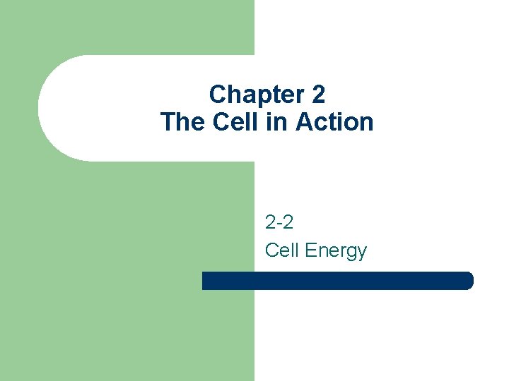 Chapter 2 The Cell in Action 2 2