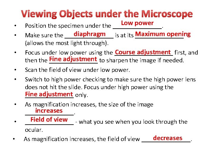 Tools and Techniques of the Biologist The Microscope