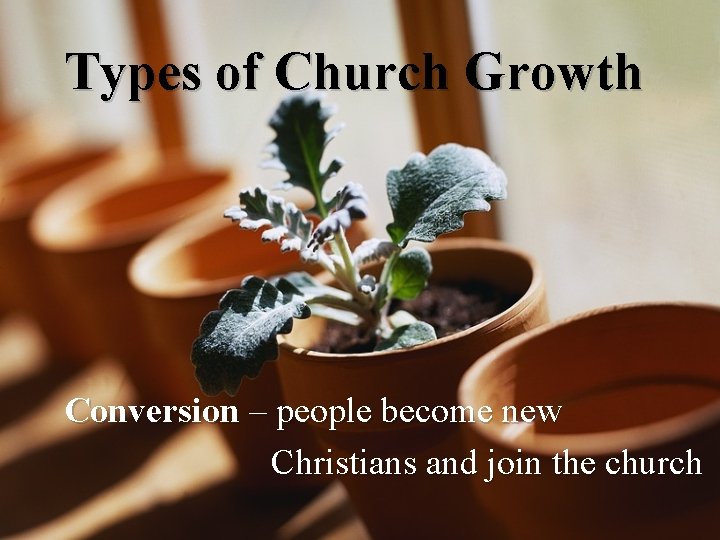 Evangelism Basics for the 21 st Century Learning
