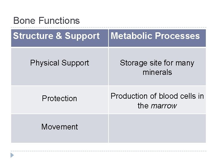 Bone Health Nutrients Chapter 11 HLTH 120 N