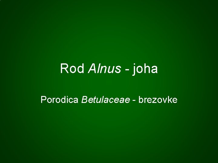 Rod Alnus joha Porodica Betulaceae brezovke Ishodi uenja