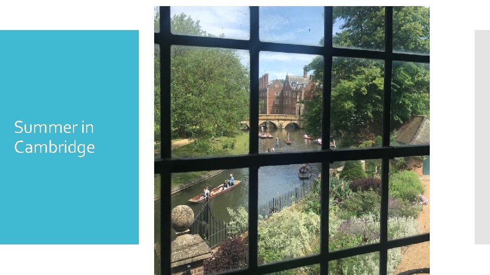 Beyond my Window S 1 creative writing competition