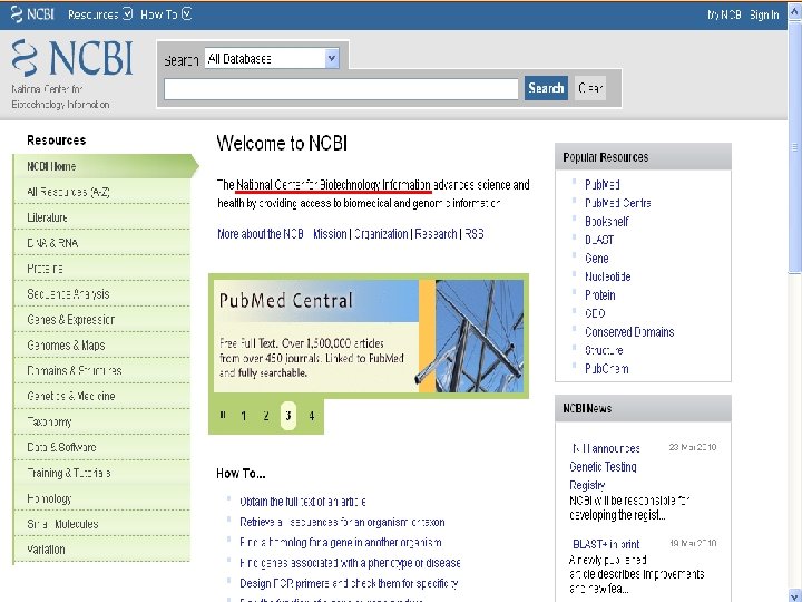 NCBI http www ncbi nlm nih gov ras