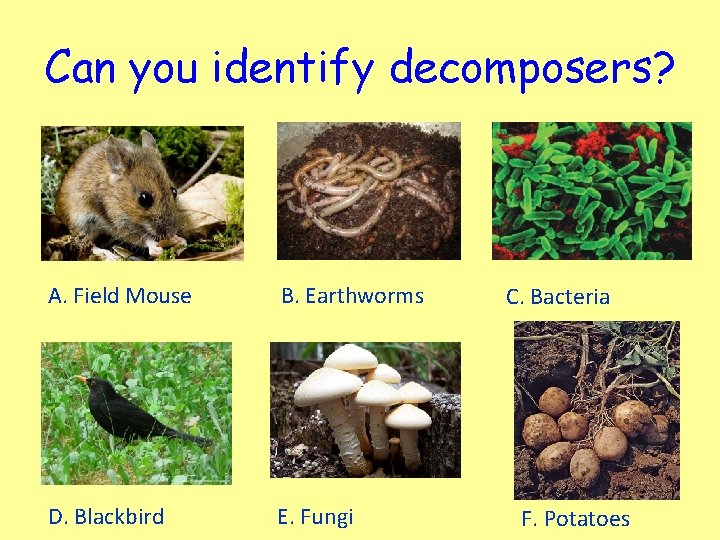 Starter Activity 1 Fold one A 4 piece