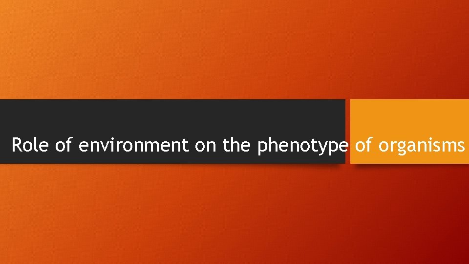Role of environment on the phenotype of organisms