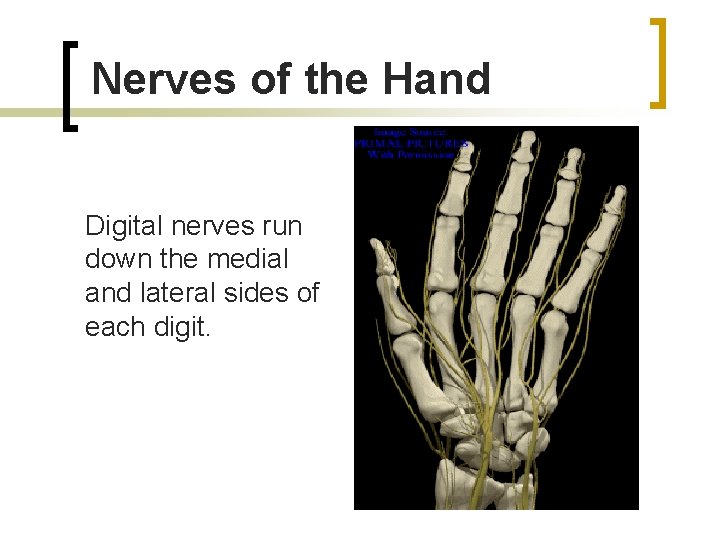 SPM 200 Clinical Skills Lab 4 Local Anesthesia
