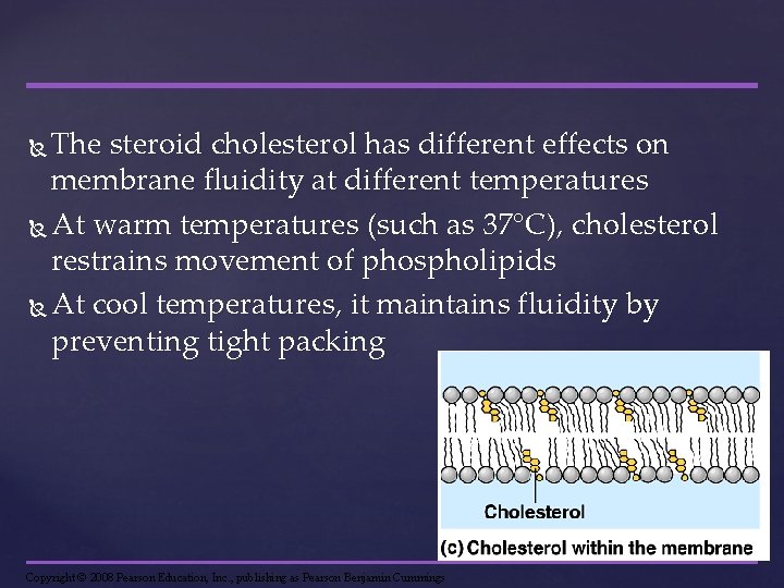 Chapter 7 Membrane Structure and Function 7 1