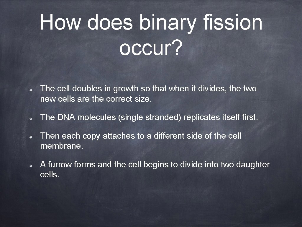 The Different Methods of Cell Division Reviewed Mitosis