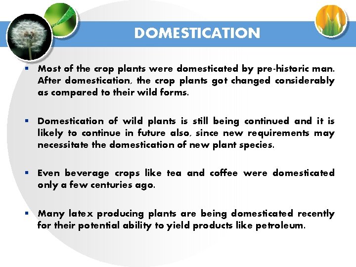 Classification of Crops ABT320 Dr Rabia Amir Lecture
