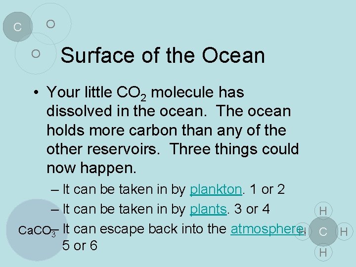 O C O Moving around the Carbon Cycle