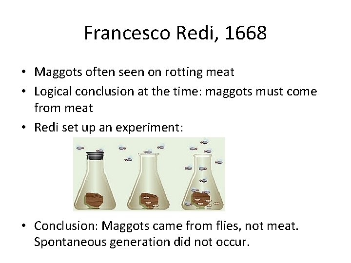 Where Did Life Come From Early thoughts about