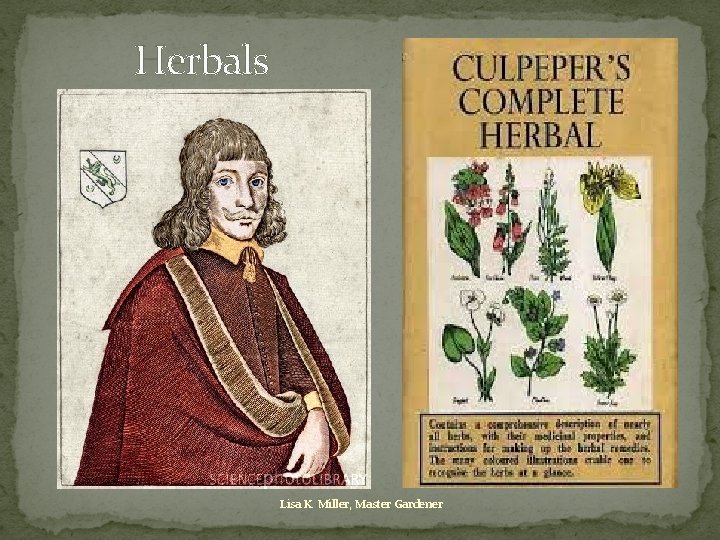 The Folklore of Herbs Prepared for WKUs Society