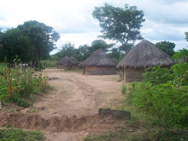Shell Oil in Nigeria Bonny Island LNG plant
