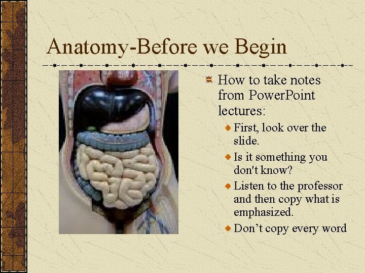 AnatomyBefore we Begin Lets review some basics that