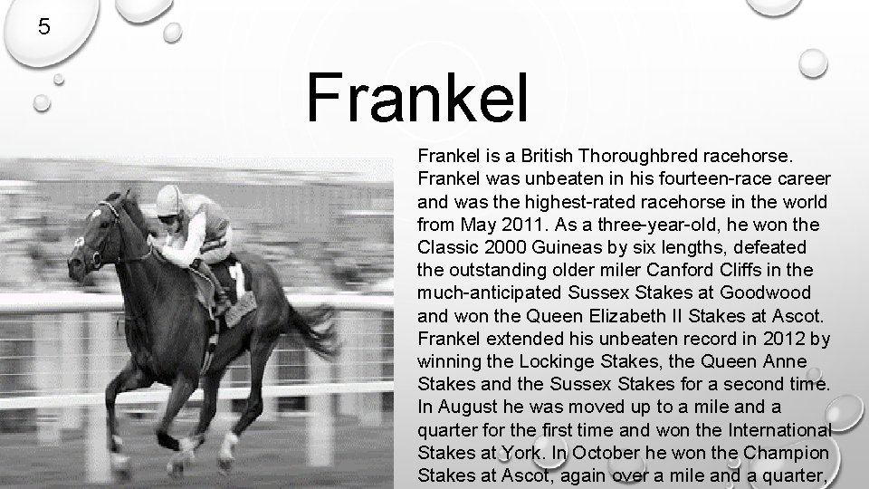 TOP TEN BEST RACE HORSES BY KATIE BROWN