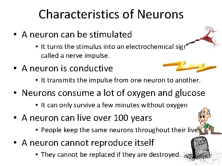 Chapter 7 The Human Organism and the External