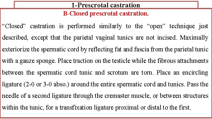 1 Prescrotal castration BClosed prescrotal castration Closed castration