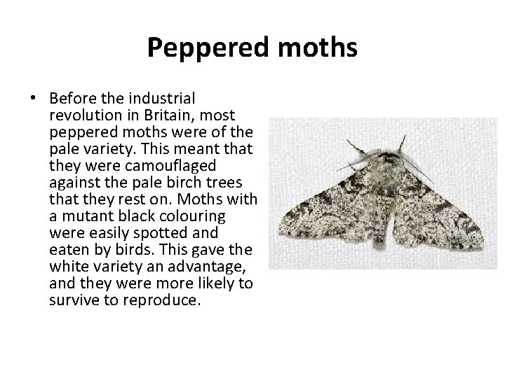 Christianity Belief Science Origins of Life Natural selection