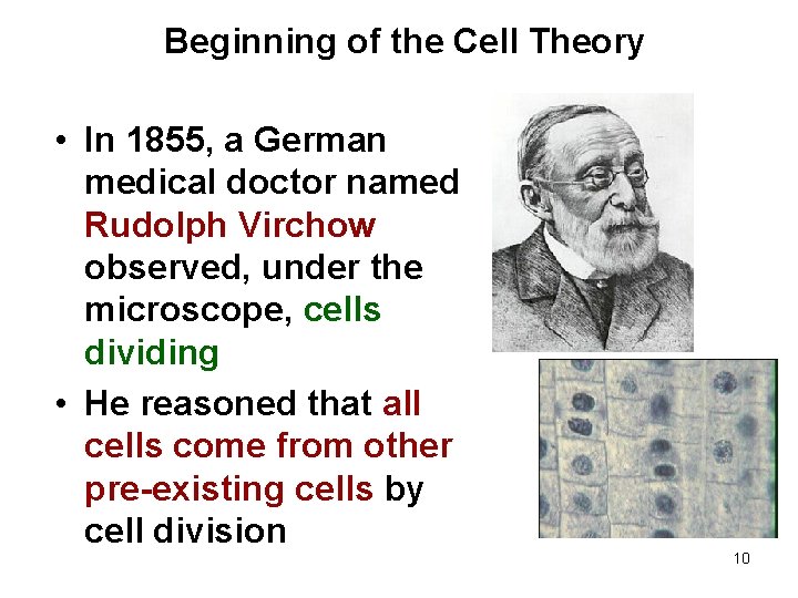 BT 1001 Biology for Engineers UNIT I Introduction