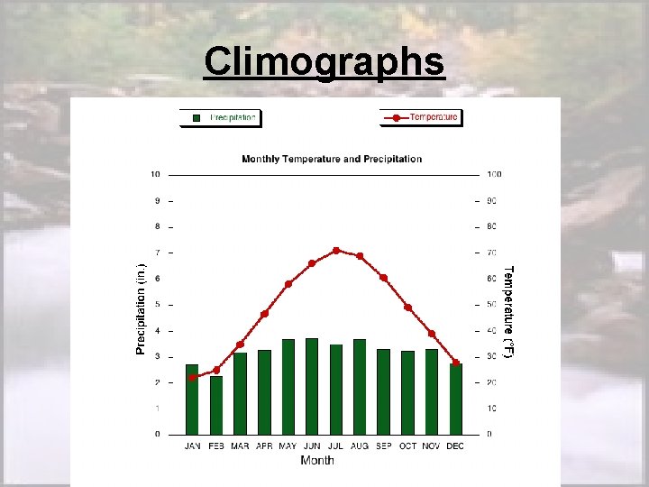Bell Work Precipitation on the Ground BRAINSTORM What