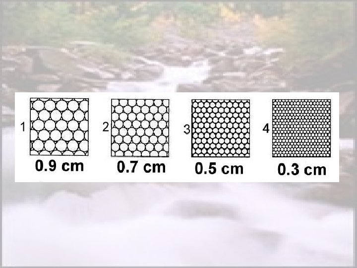 Bell Work Precipitation on the Ground BRAINSTORM What