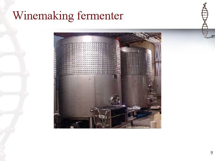 An introduction to fermentation Prepared by Bikash Acharya