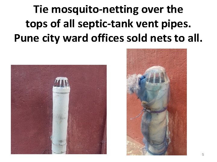 MANAGING MOSQUITOES WATER HYACINTH DEBRIS SEWAGE SLUDGE BLOCKED